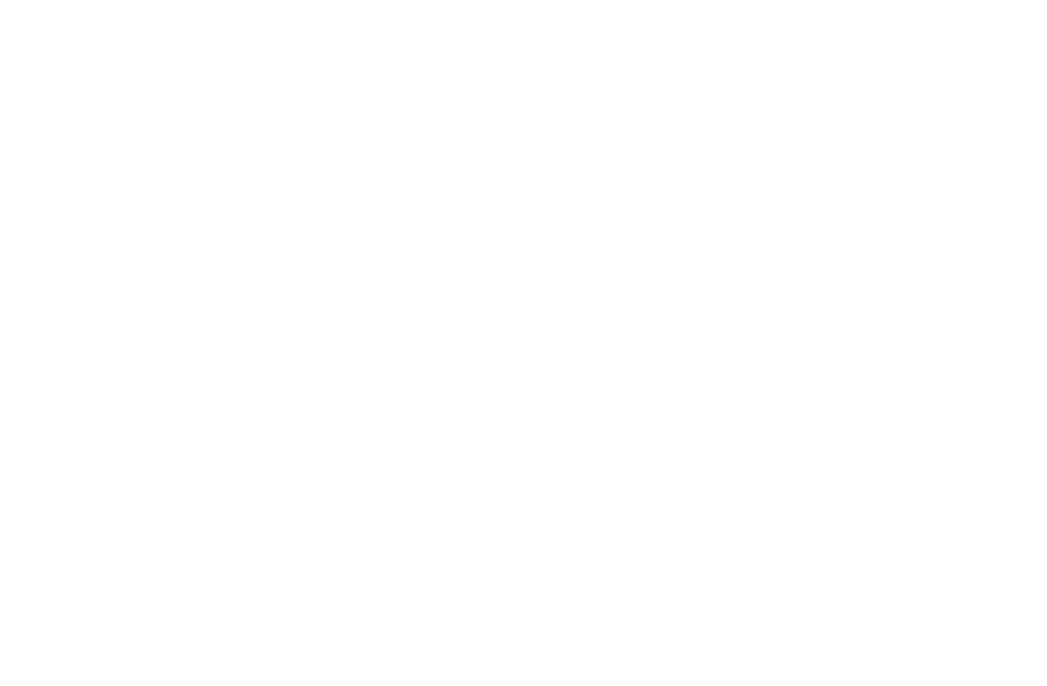 Founder's Statement - Habib Amir - Prestigious Venues